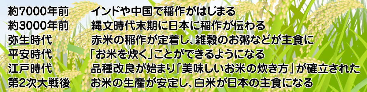 弥生時代のお米は赤かった？あなたの知らない「お米の歴史」を詳しく解説！ | Manic Blend